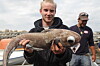 Skolest: Norges beste fisk du aldri har hørt om