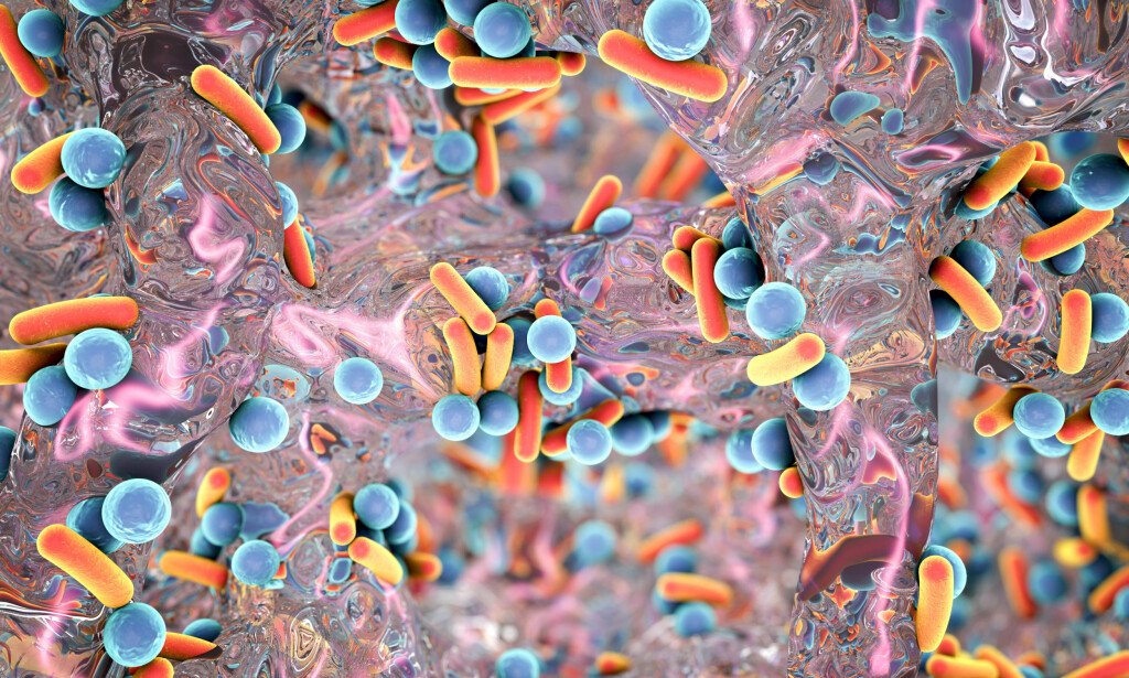 Multiresistente bakterier - Slår alarm: - Et av de største problemene ...